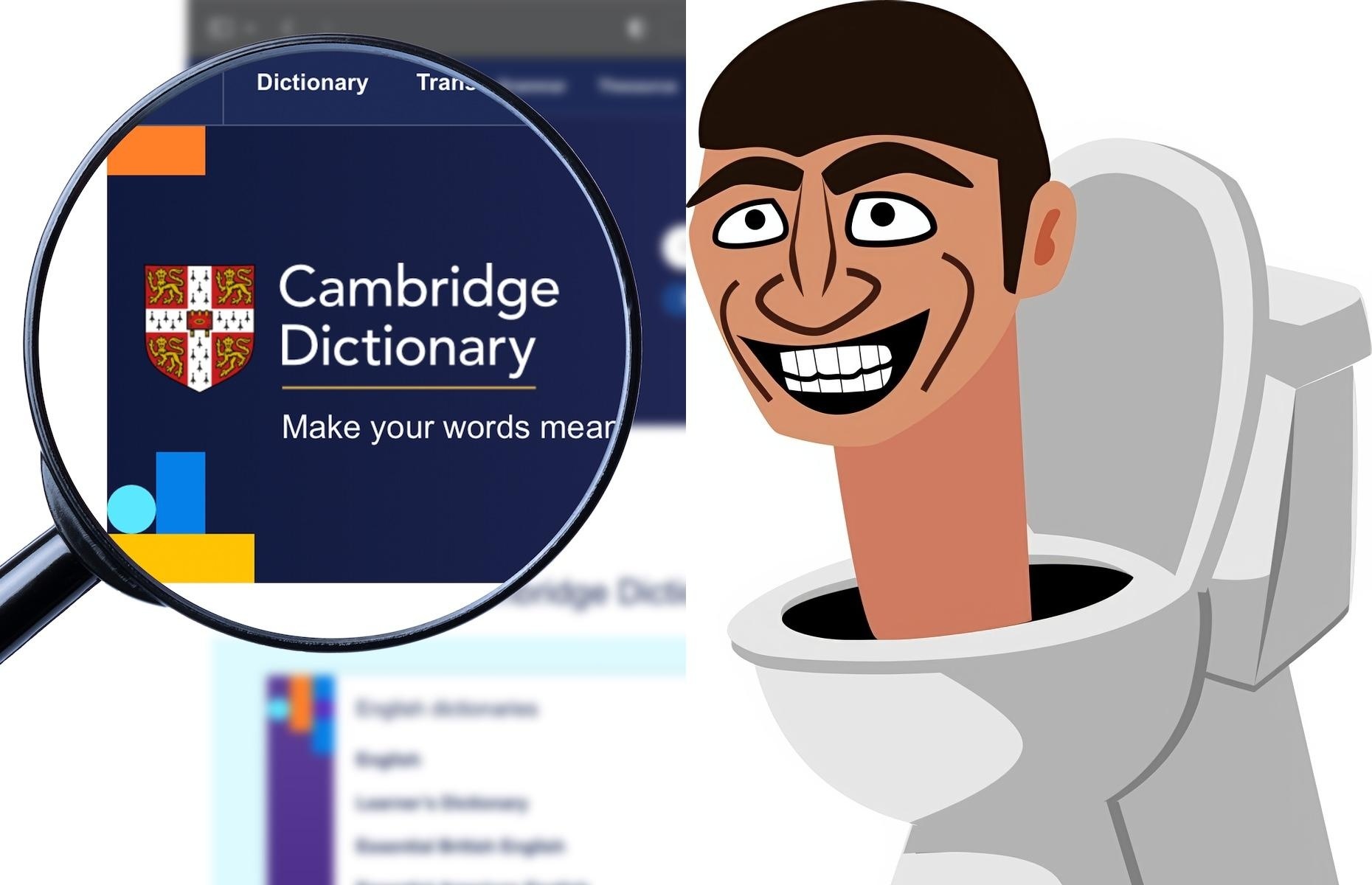 Le Cambridge Dictionary enrichit son vocabulaire avec « skibidi », « delulu » et 6 212 nouveaux ...