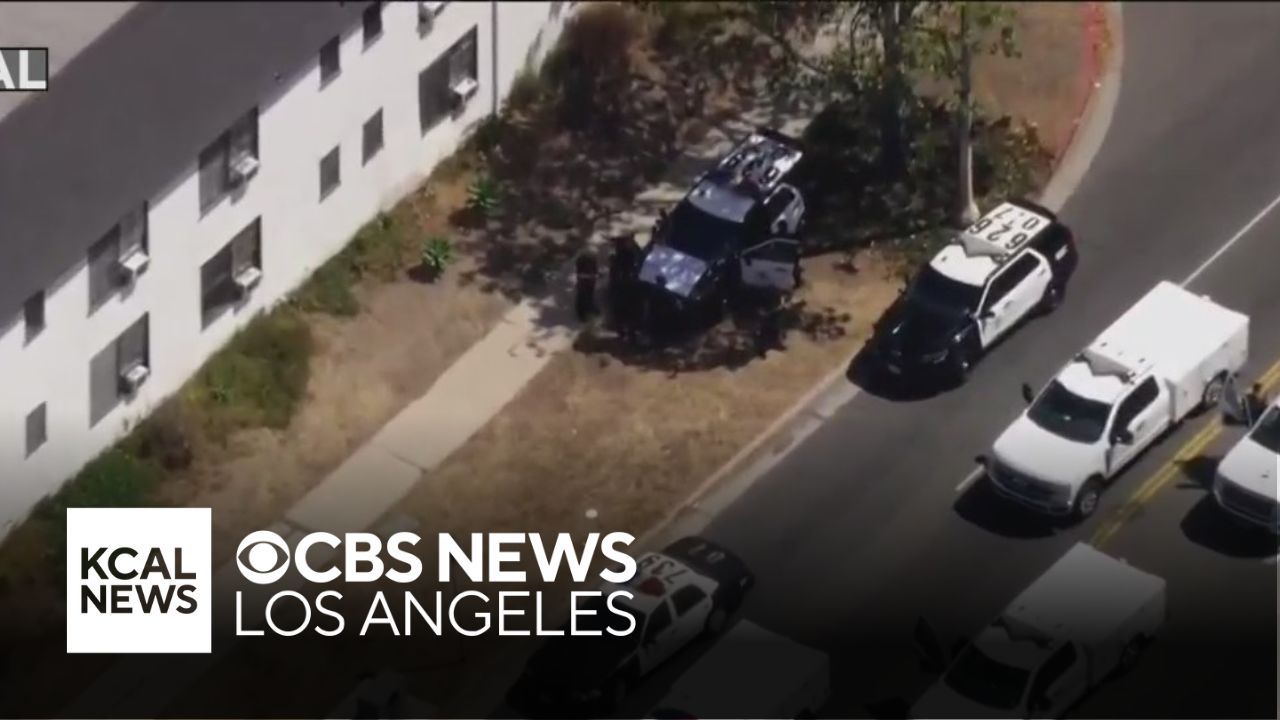 Bomb squad investigates suspicious device