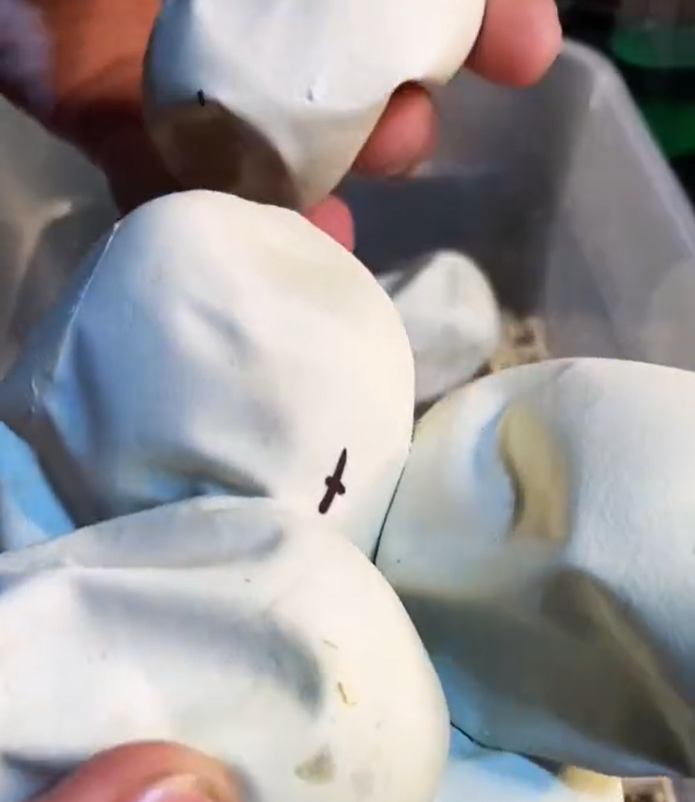 Overdue Snake Eggs!