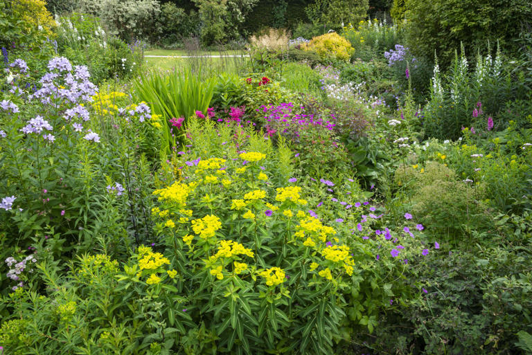 4 Plants Gardeners Say Should 'Come With a Warning Label'