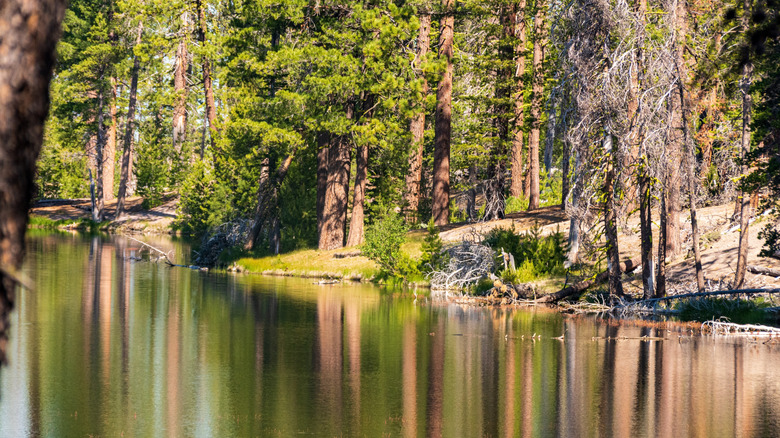 This Emerald Lake In Northern California Bans Motorboats (And It's The ...