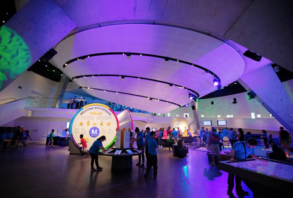 Family FUNraiser, Summerween, and More Great Things to Do in Miami this ...