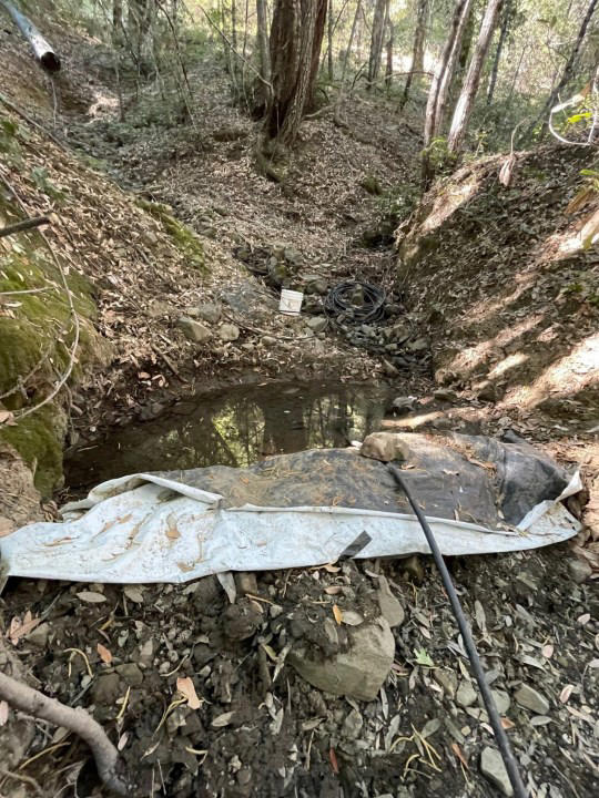 CDFW sweeps illegal cannabis farms operating on sensitive NorCal habitats