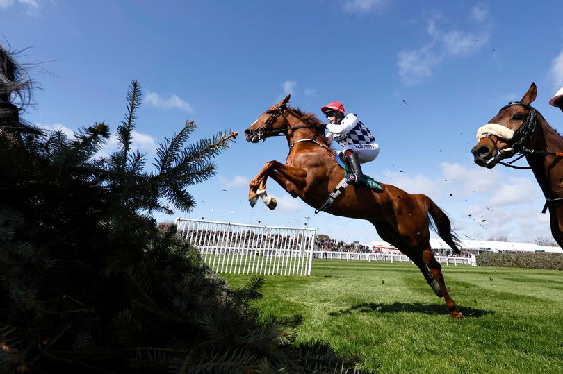 Horseracing strike nearly falls at first hurdle after warnings it could ...