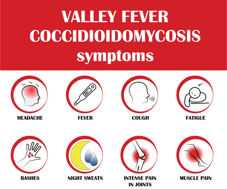 ‘Valley fever’ has spiked 1,200% in California — why more people are ...