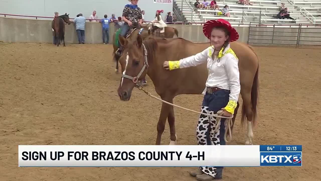 Brazos County 4-H opens 2025-2026 registration
