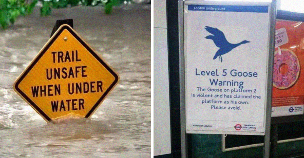 18 Warning Signs That Made Us Laugh Instead of Worry