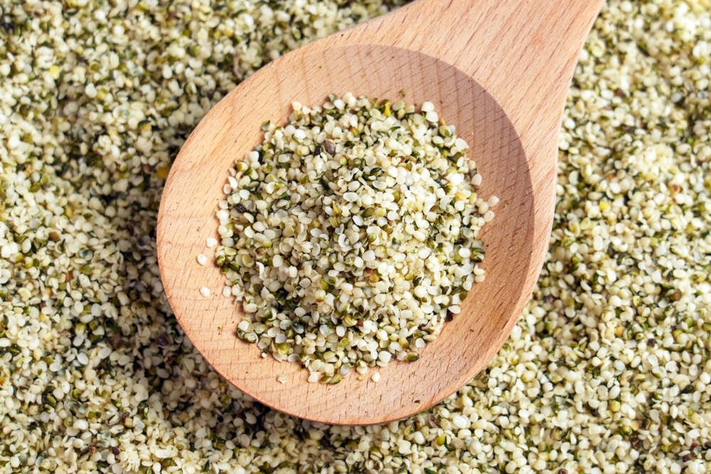 Protein Power: 10 Nuts and Seeds Worth Adding to Your Diet