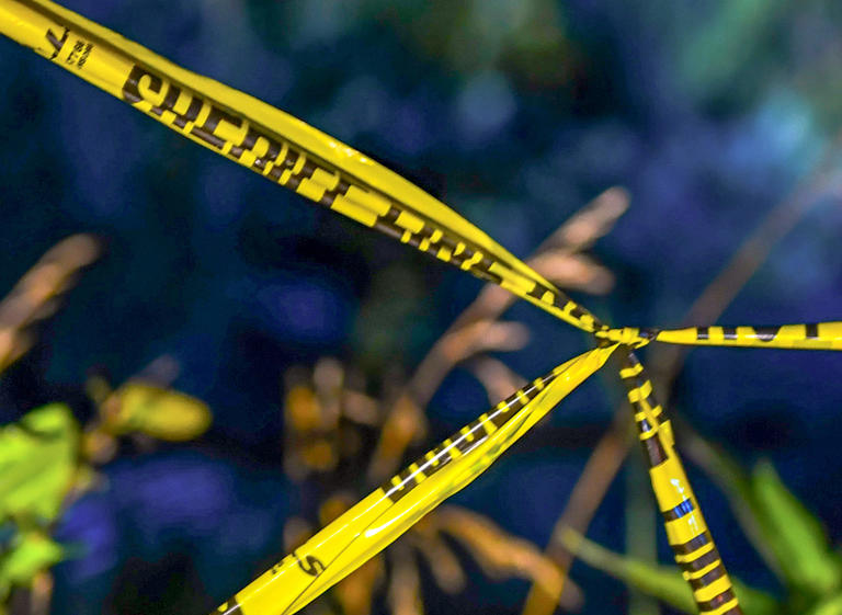 Dog attack incident: Infant killed, adult injured in Anderson