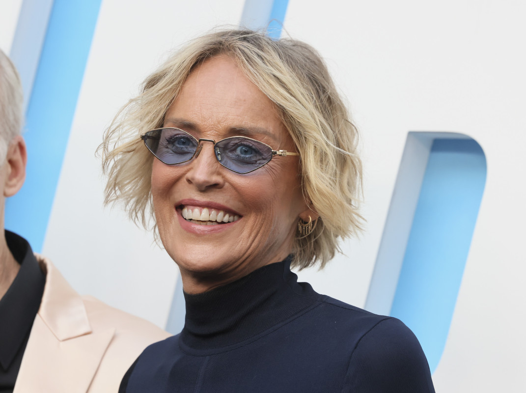 Sharon Stone Has Blunt Three Word Response to 'Basic Instinct' Remake