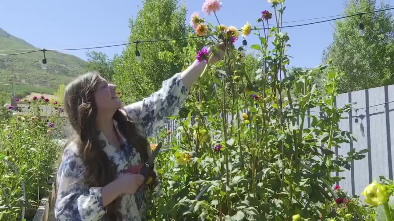 From heartbreak to hope: How a Utah flower farm became a sanctuary for ...