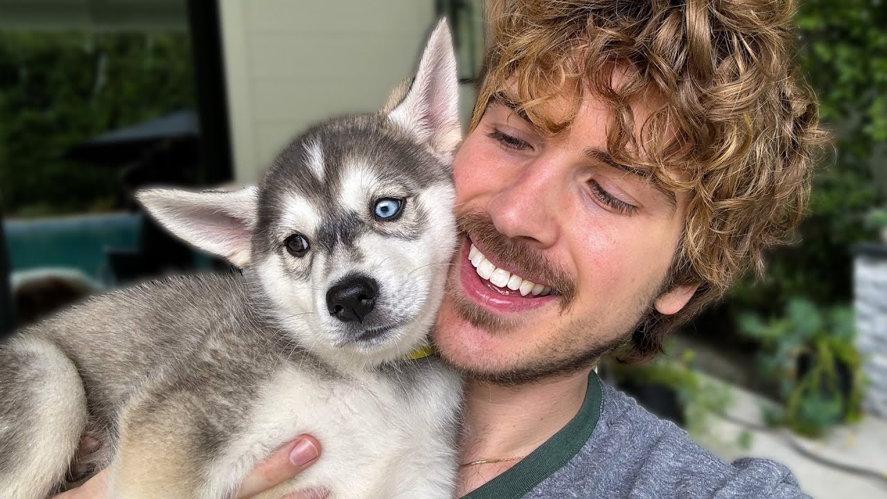 Rescue Puppies Cause Chaos While Finding Their Forever Homes