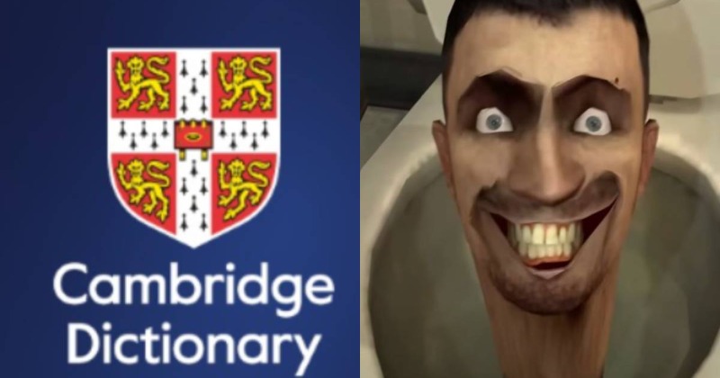 Not just delulu and skibidi, Cambridge Dictionary added 6000+ new words including lewk and ...