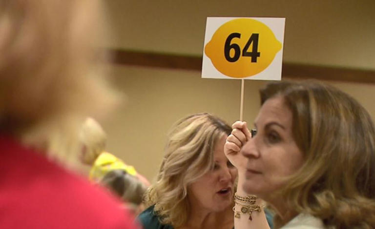 Project Lemonade helps serve Portland foster kids through volunteer help