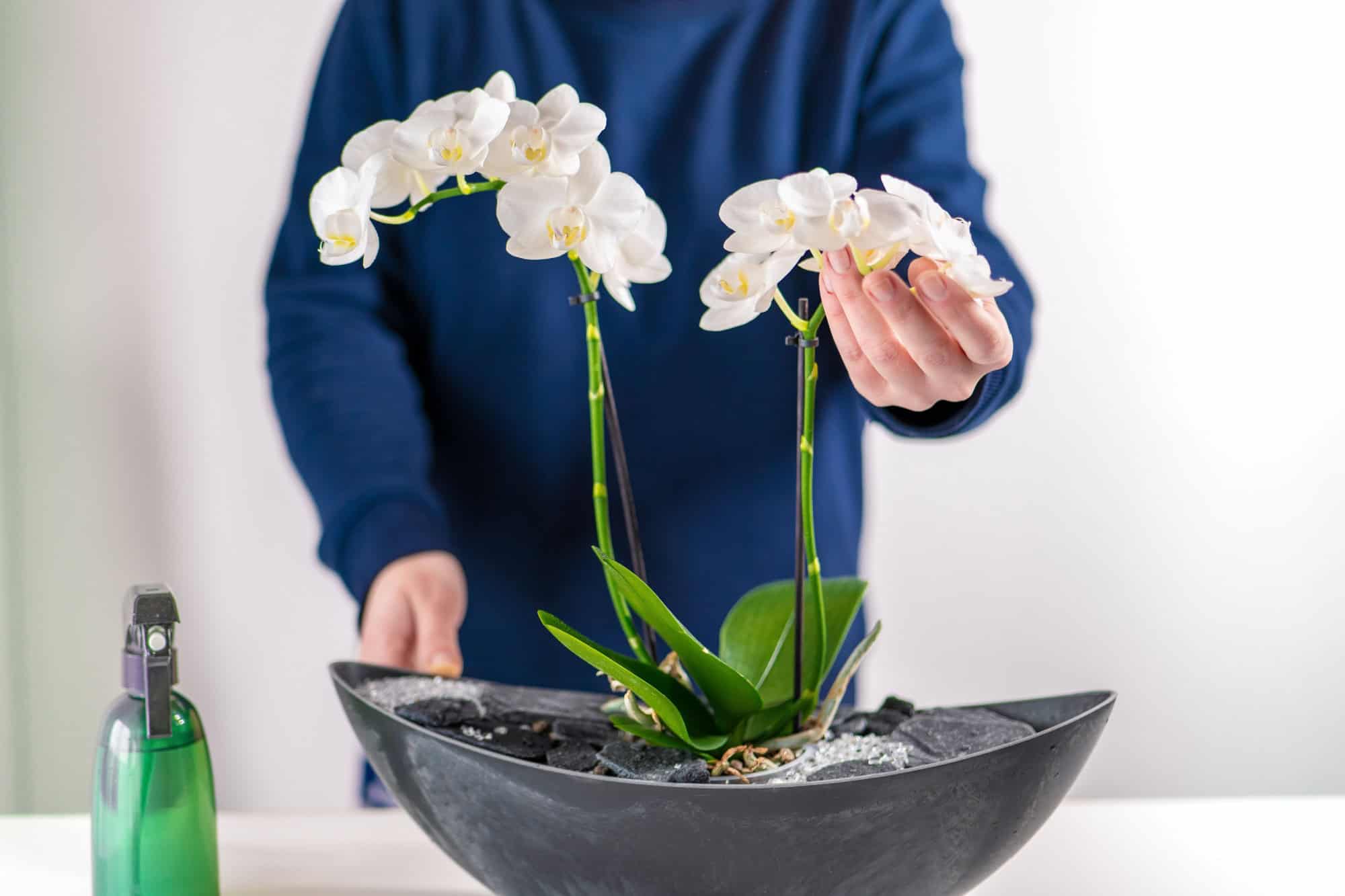 11 hobbies many men admit losing interest in after retirement