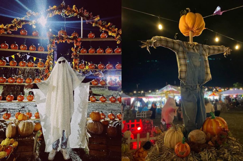 Pumpkin Zone 2025: ¡El festival de Halloween que debes visitar!