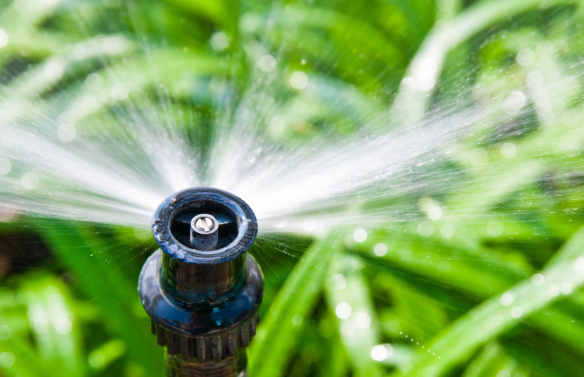 The best time to water your lawn in a heat wave