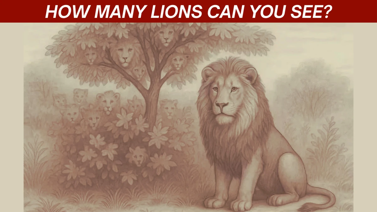 Only 5% with 20/20 vision can count how many lions are in the picture ...