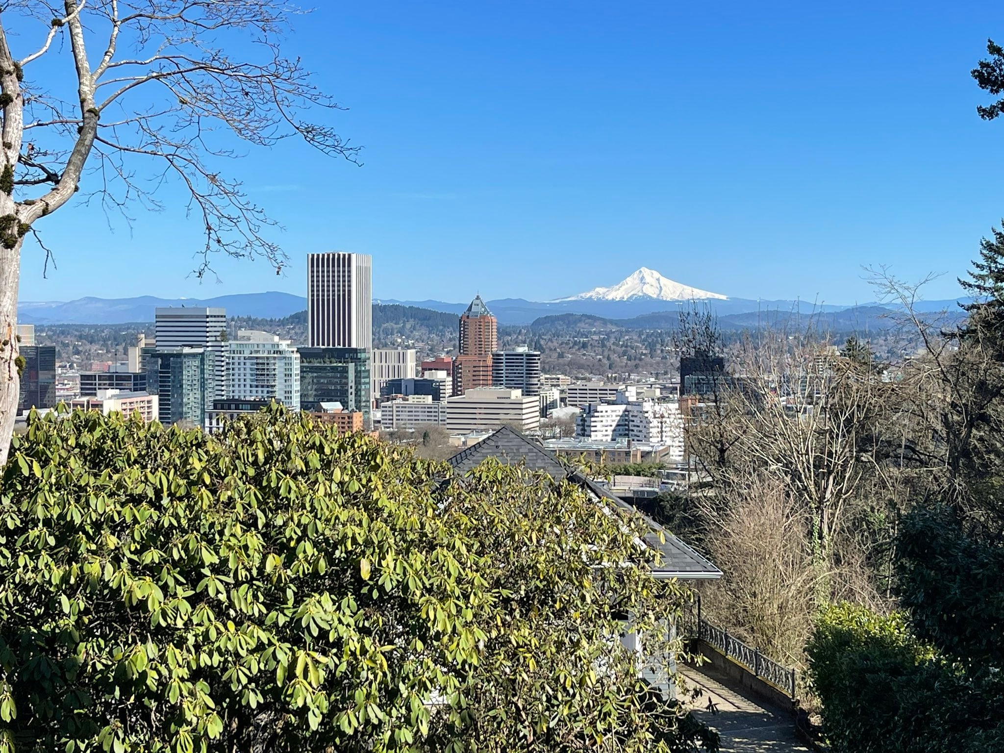 Task force warns Portland must reform taxes to restore public trust