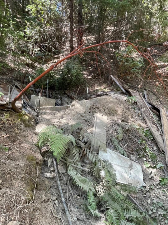 CDFW sweeps illegal cannabis farms operating on sensitive NorCal habitats
