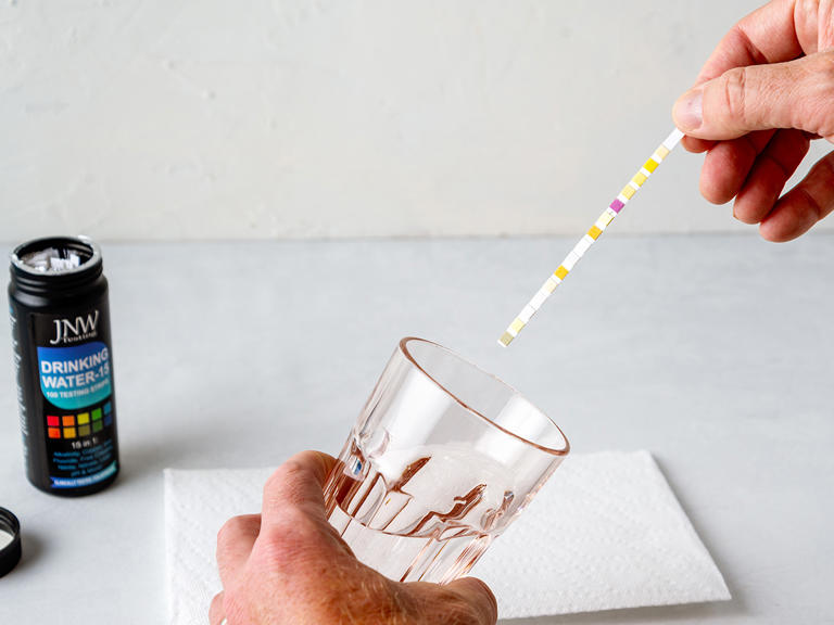 The 6 Best Water Test Kits for Cleaner, Healthier Water, Tested and ...