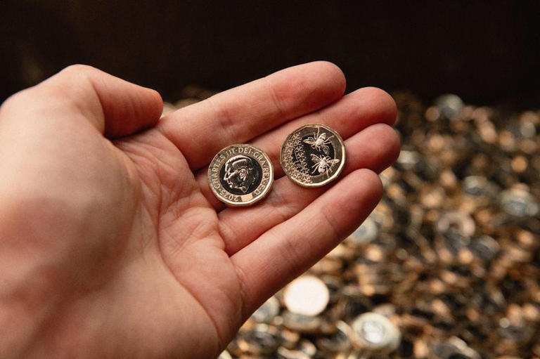 Brits urged to check change as rarest £1 coins enter circulation