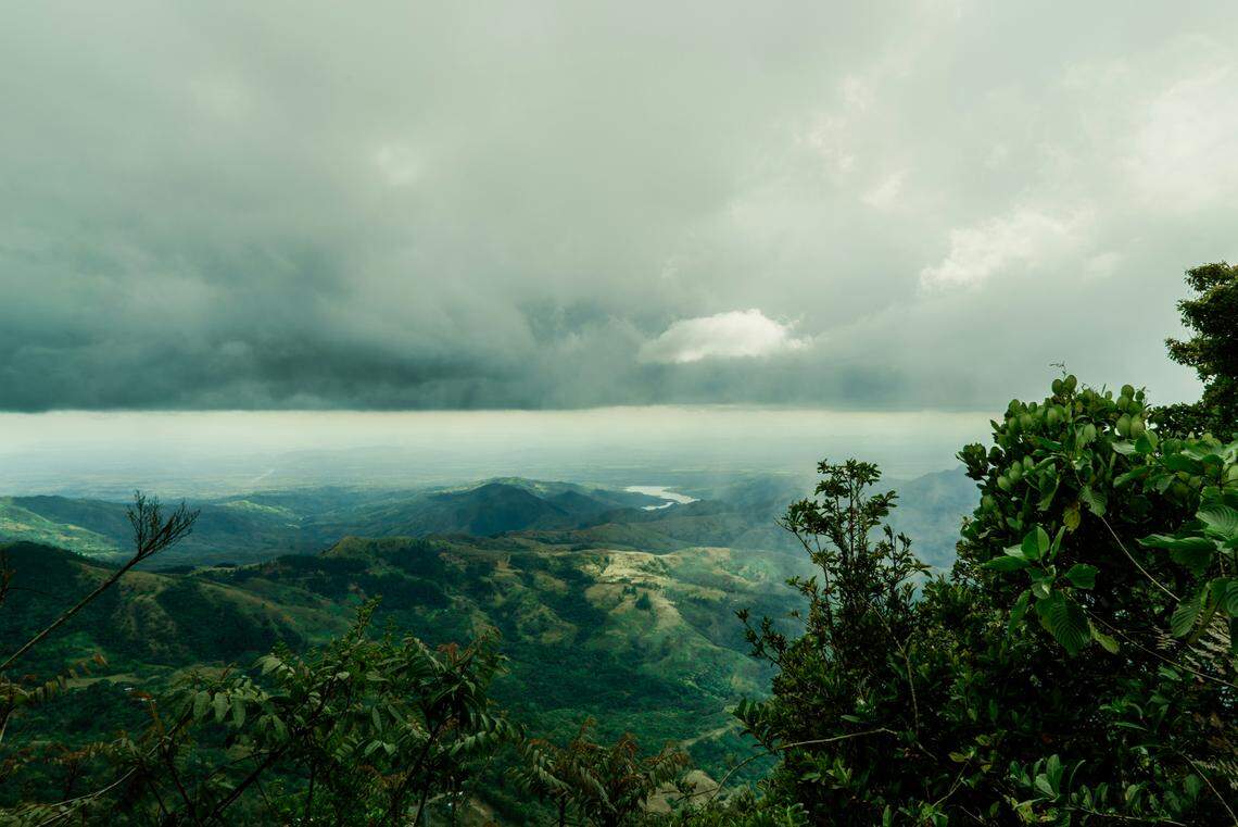 Creature found on ‘rainy night' in Panama may be oldest ever known. See ...
