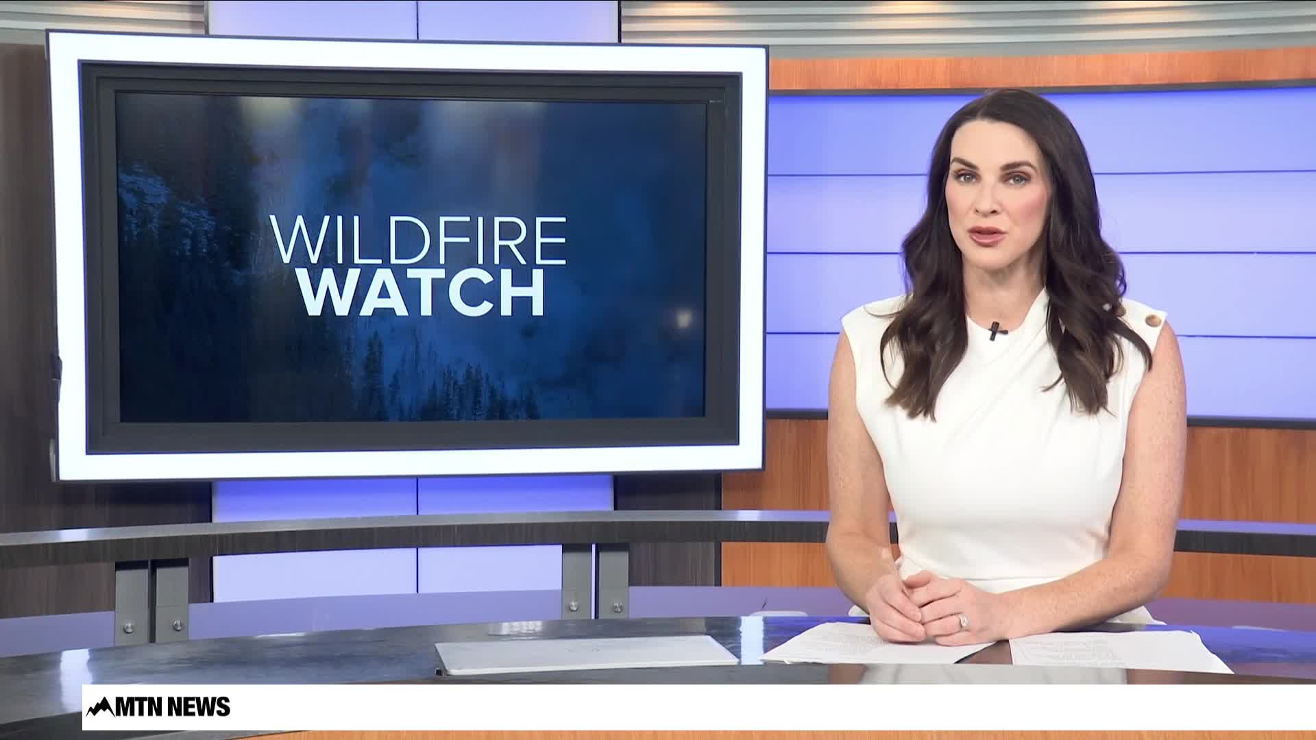 MTN 4:30 News with Andrea Lutz 8-19-25