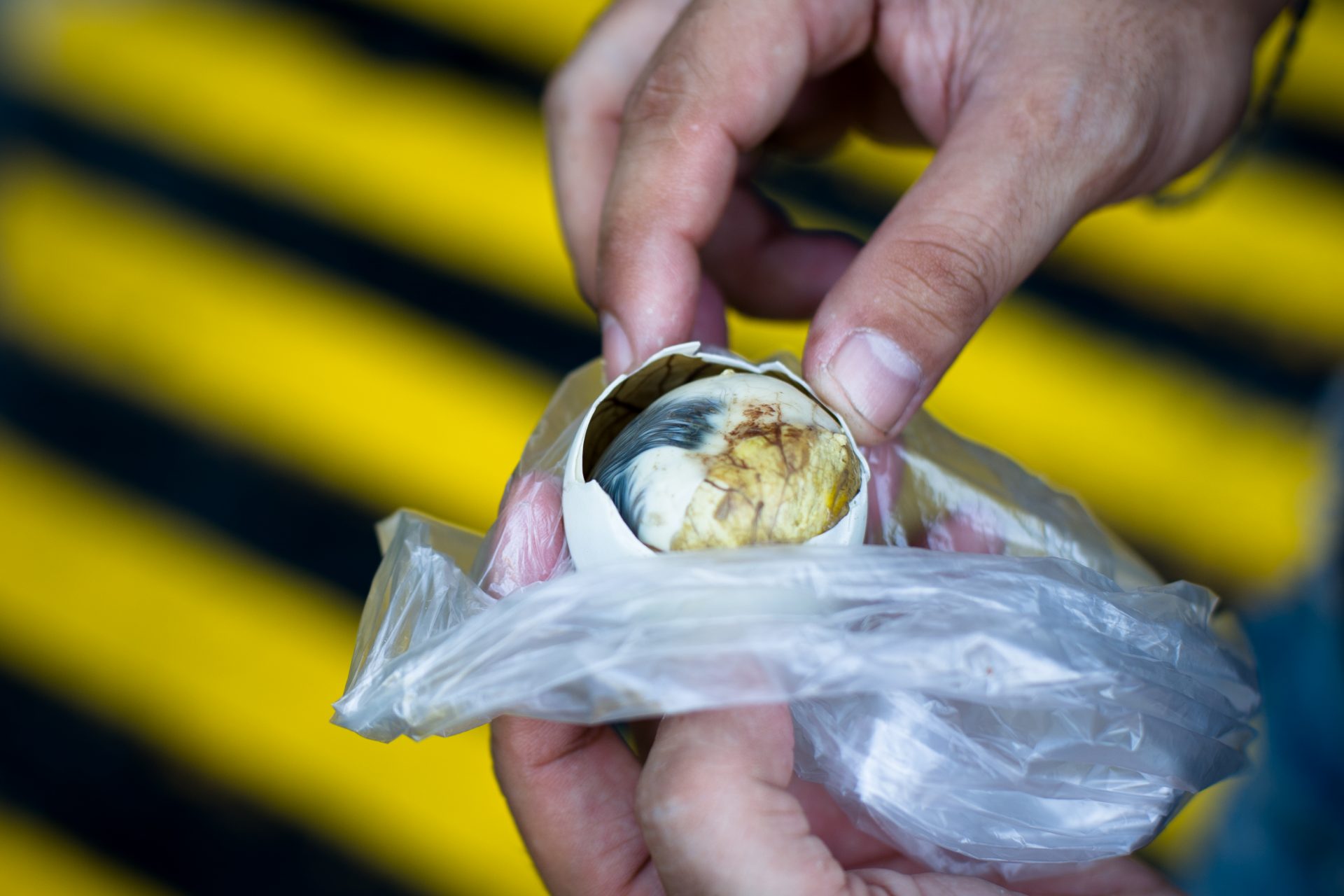 Delicacy or disgusting? The world's most controversial dishes