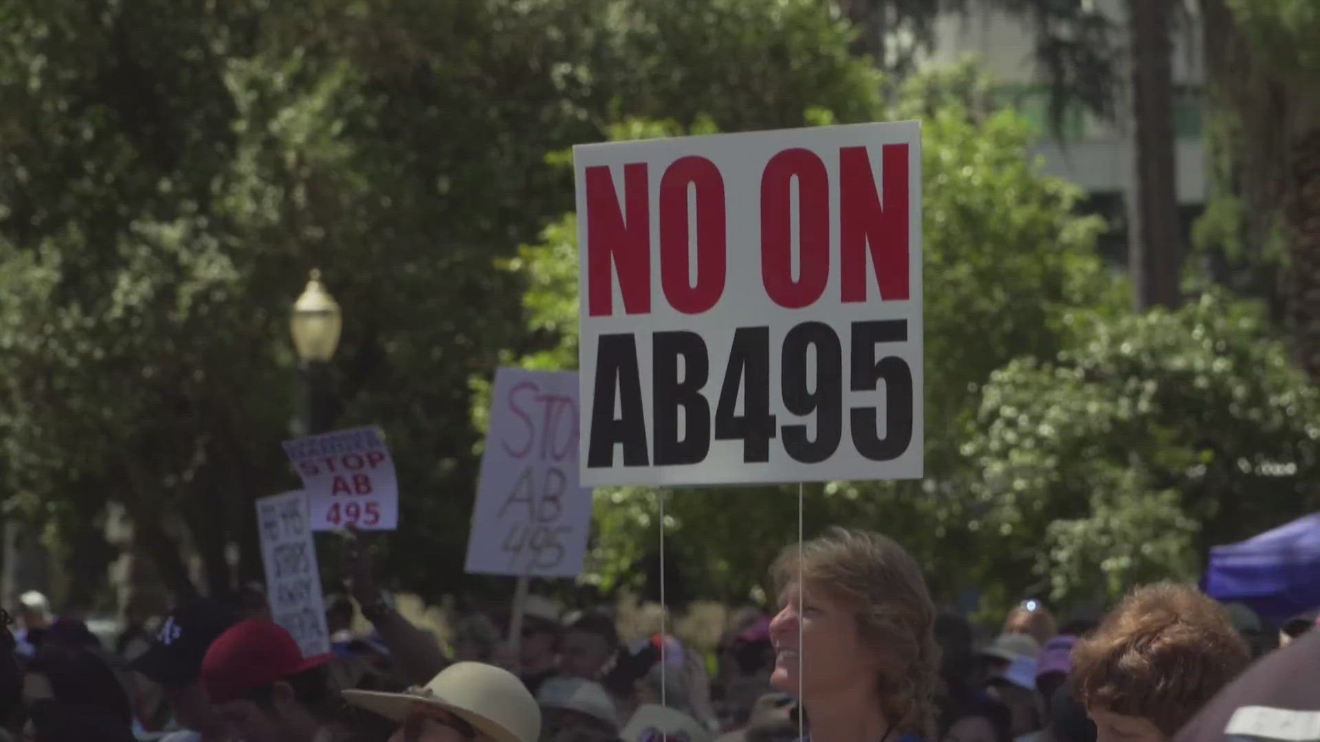 Protests against a bill related to temporary guardianship and caregiver ...