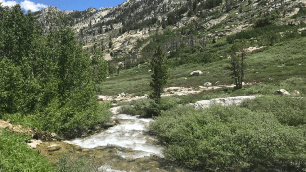 Intensifying wildfires threaten Nevada's water quality, study finds
