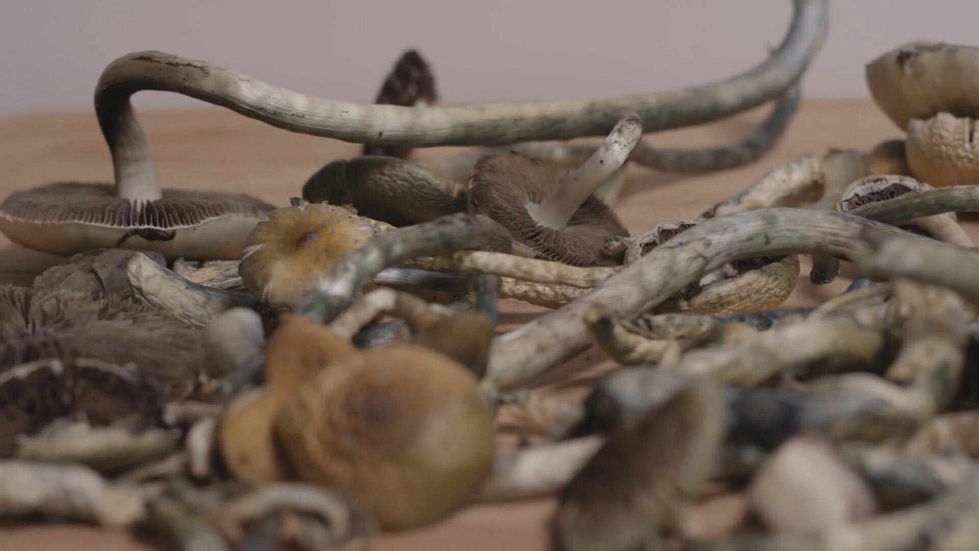 Ballot initiative to decriminalize psychedelics in Alaska now garnering ...