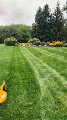 Simple Lawn Care Hacks to Completely Transform Your Yard