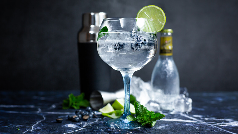 13 Liquors Your Home Bar Should Have