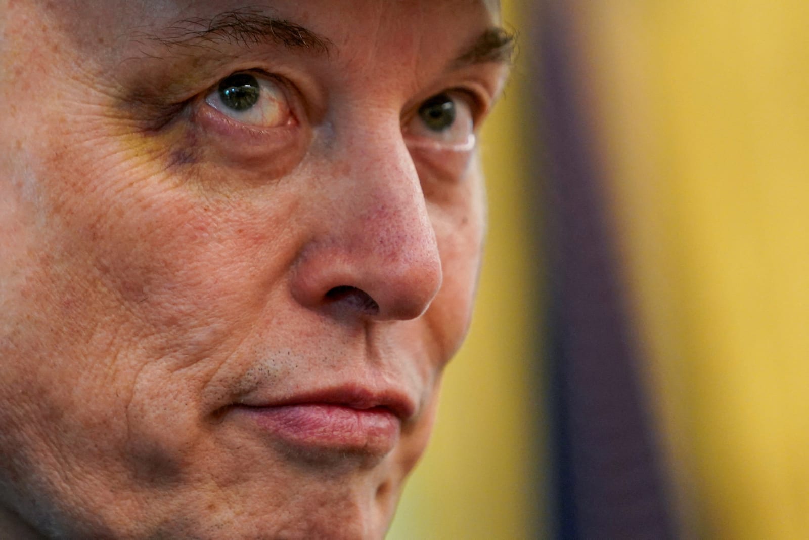 Elon Musk backs off massive midterm shakeup fearing he'll anger ...