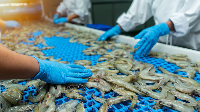 Walmart's Great Value Frozen Shrimp Could Be Radioactive And You Should ...