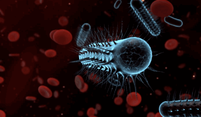 10 Things That Could Destroy Humanity in 2025?