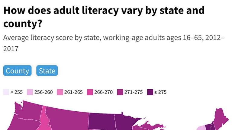 Mapped: The States With the Highest and Lowest Adult Literacy Rates