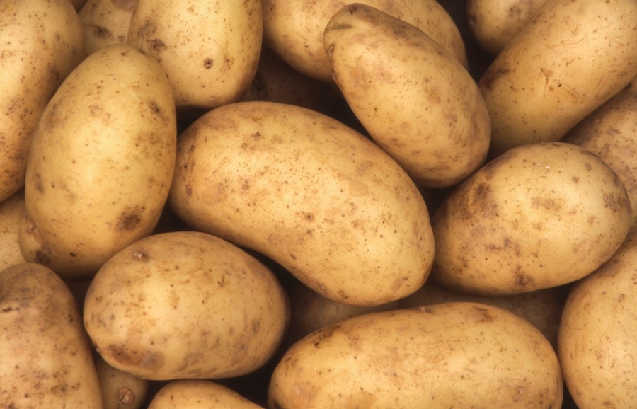 Shreveport eateries mark Potato Day with special spud dishes