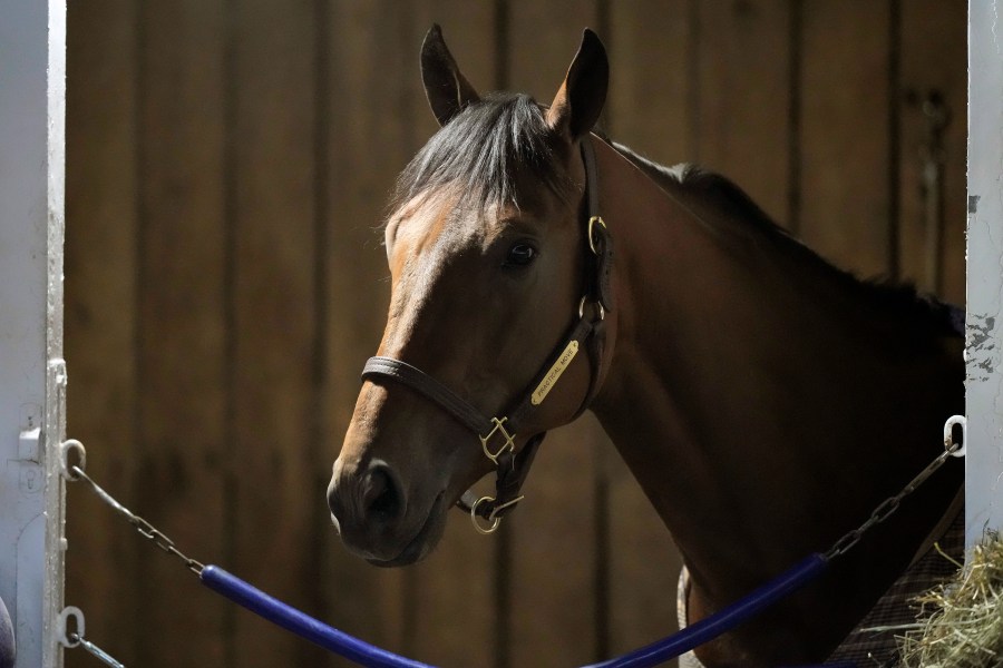 Hamilton horse stable provides statement following investigation