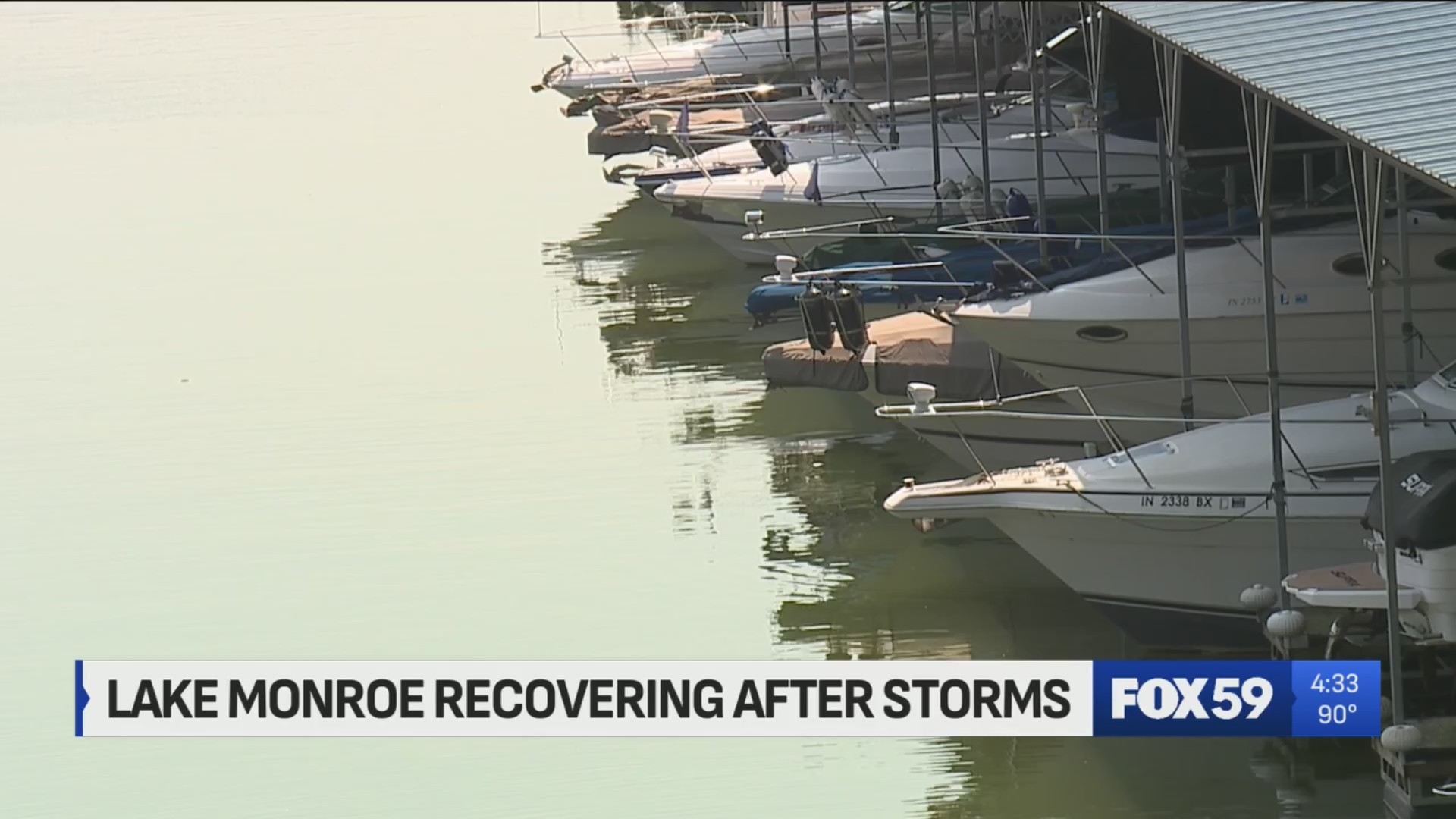 Tree falls on female, 100 stranded on docks amidst severe storm in ...