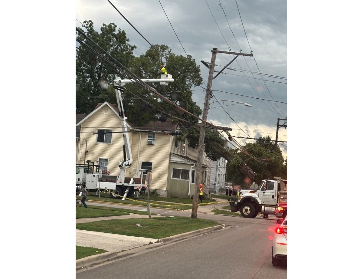 Aurora Sees 'Significant Tree Damage' After Weekend Storms