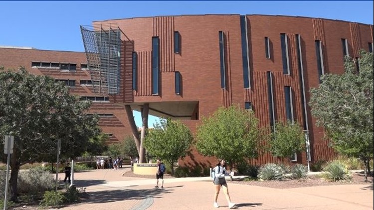 Woman in hospital following U of A Main Library stabbing