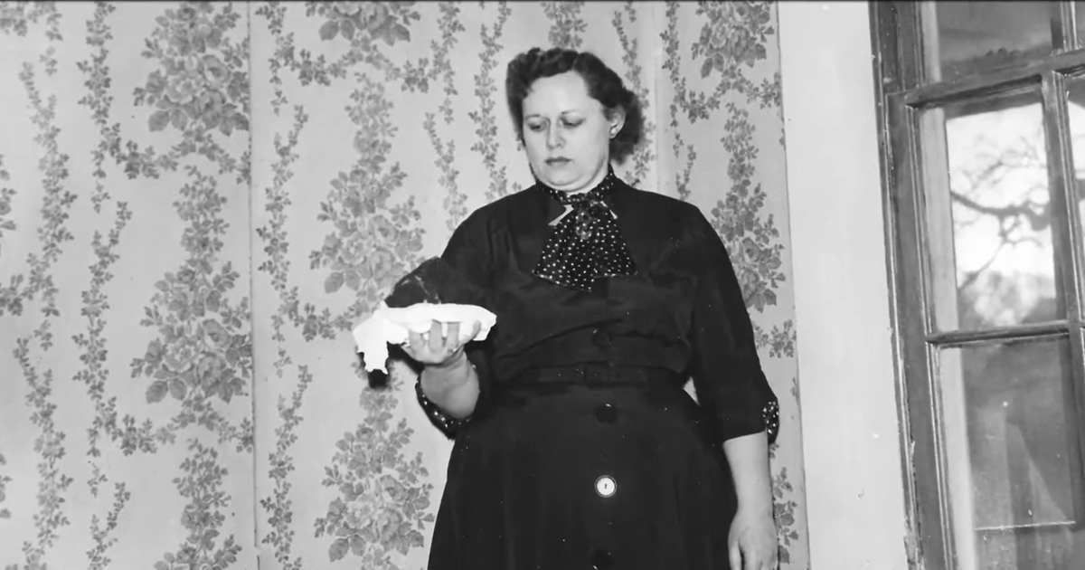 Alabama Woman Became First Human Hit by Meteorite in 1954 — It Crashed ...