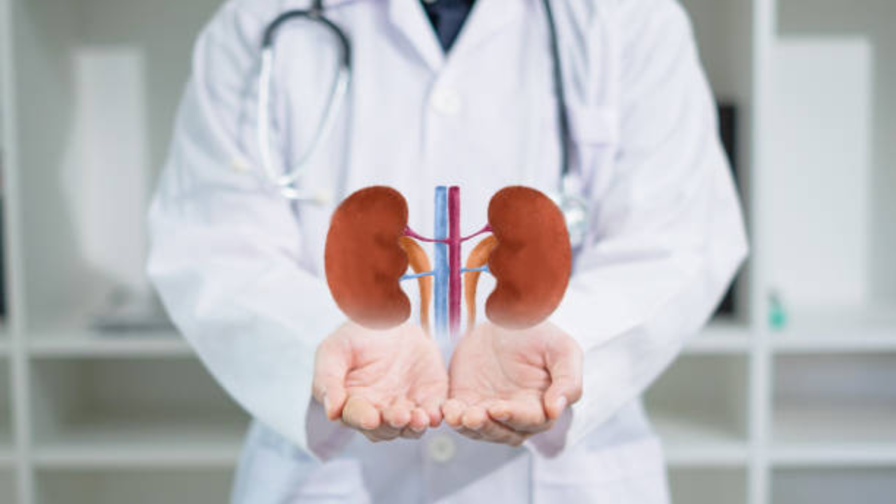 Kidney stones: Doctor-approved evidence-backed remedies to get rid of ...
