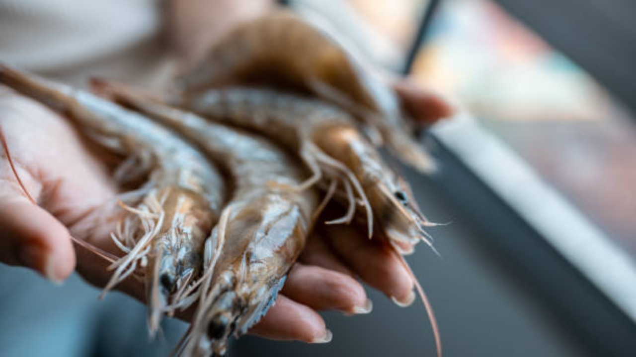 Radioactive shrimp: US FDA issues recall on Walmart frozen seafood ...