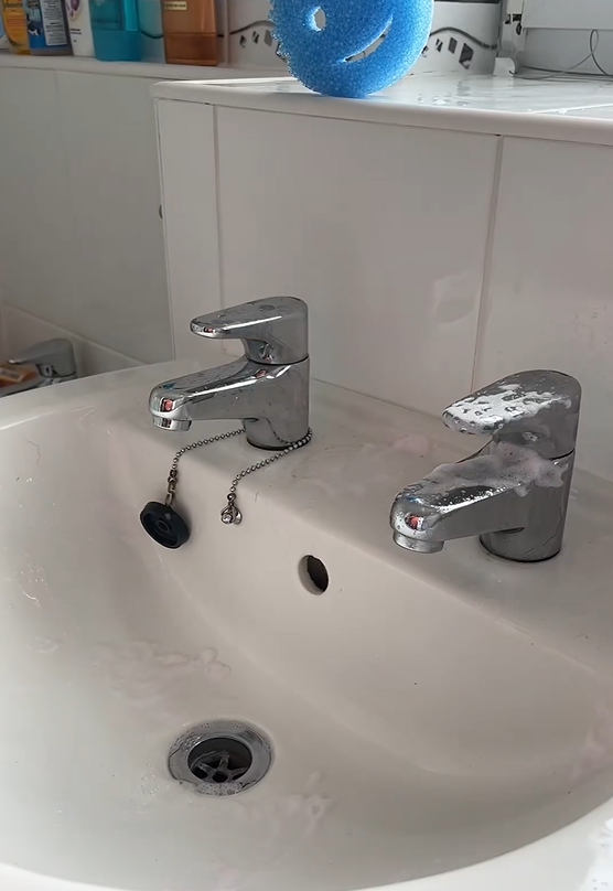 Cleaning the Bathroom with Blue Scrub Daddy and Scrub Baby