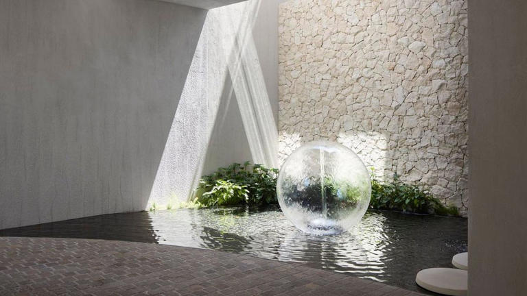 Undressed Water Features Are Boring — So, Here Are 5 Aquatic Plants to ...