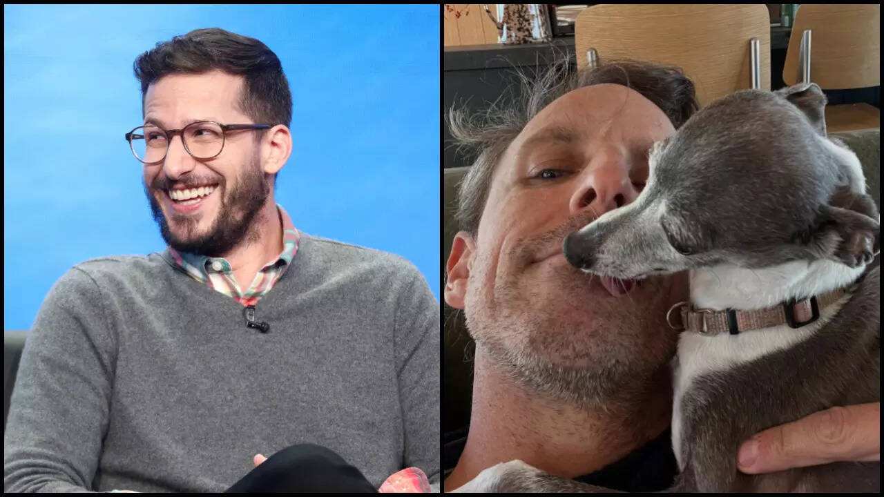 Andy Samberg gets roasted after Seth Meyers' dog, Frisbee passes away ...
