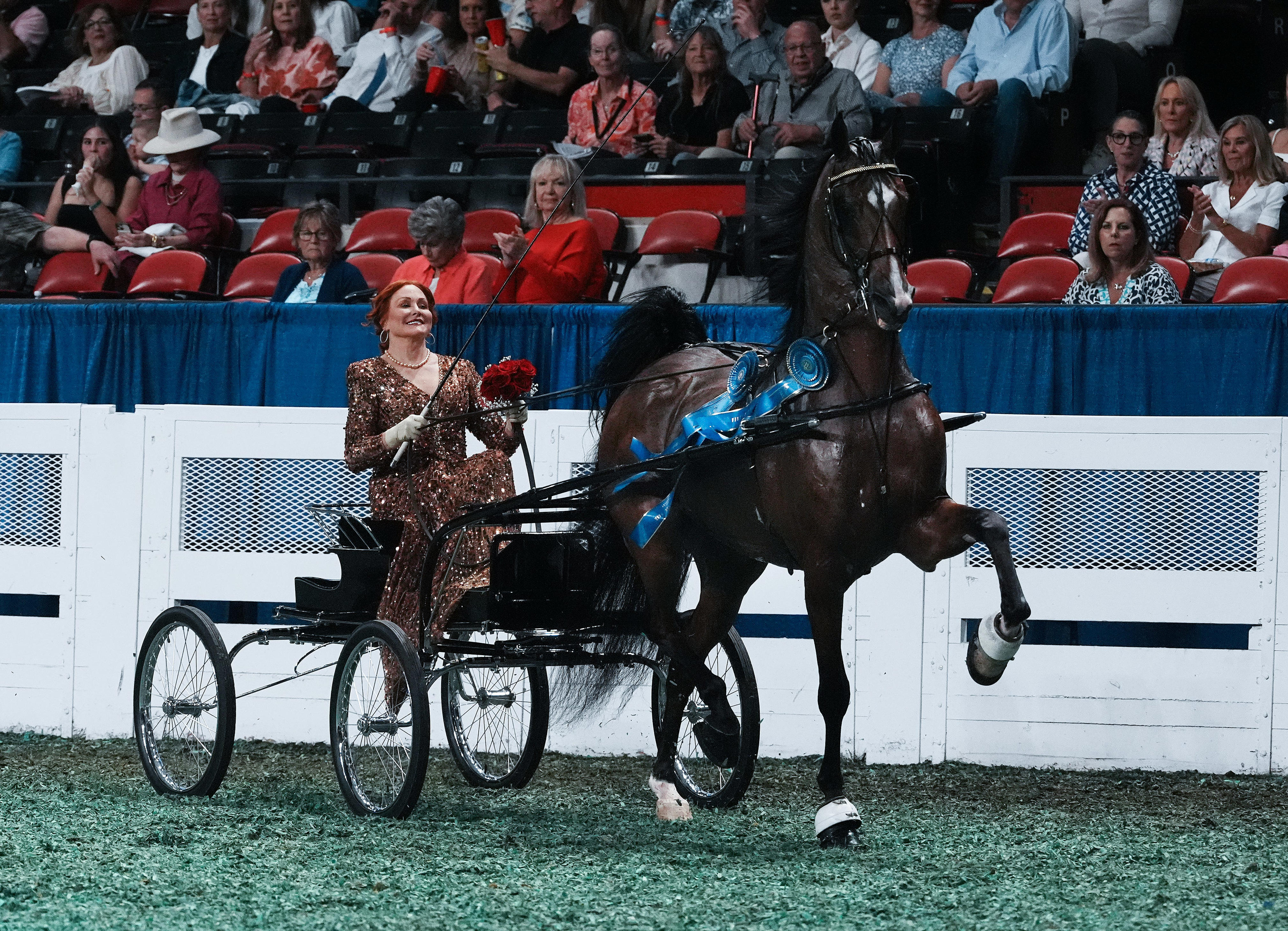 Susan Swope, son to compete at 2025 World's Championship Horse Show ...